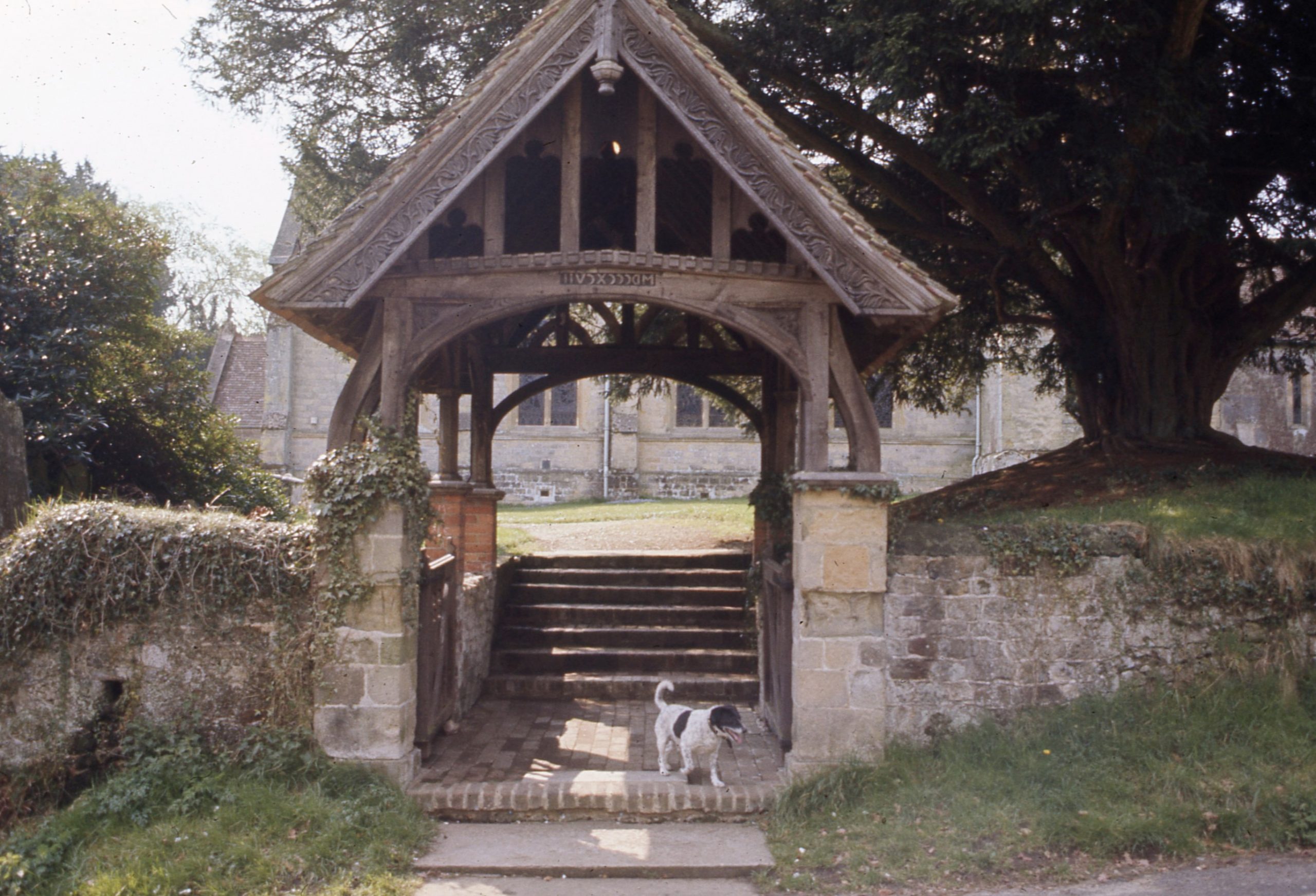 Walk A – Liphook to Bramshott & back | Liphook
