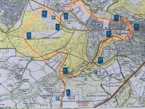 Walk F – Drive and Walk – Waggoners Wells , Ludshott Common and ...