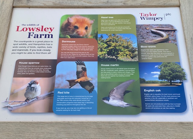 Walk G – Lowsley Farm Walk | Liphook